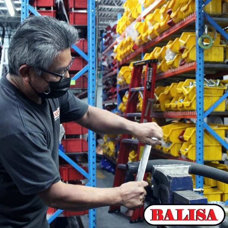 QUIENES SOMOS – Balisa Panamá